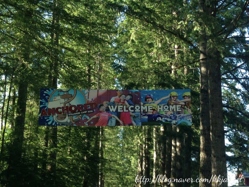 [ Summer Camp ] 2018 Stillwood Camp, Blast 2, 스틸우드 썸머캠프, 칠리왁캠프, 캐나다캠프 ...