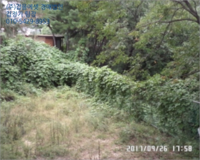 원삼면 토지대지경매용인시 처인구 원삼면 죽능리 26 362017타경510842 네이버 블로그
