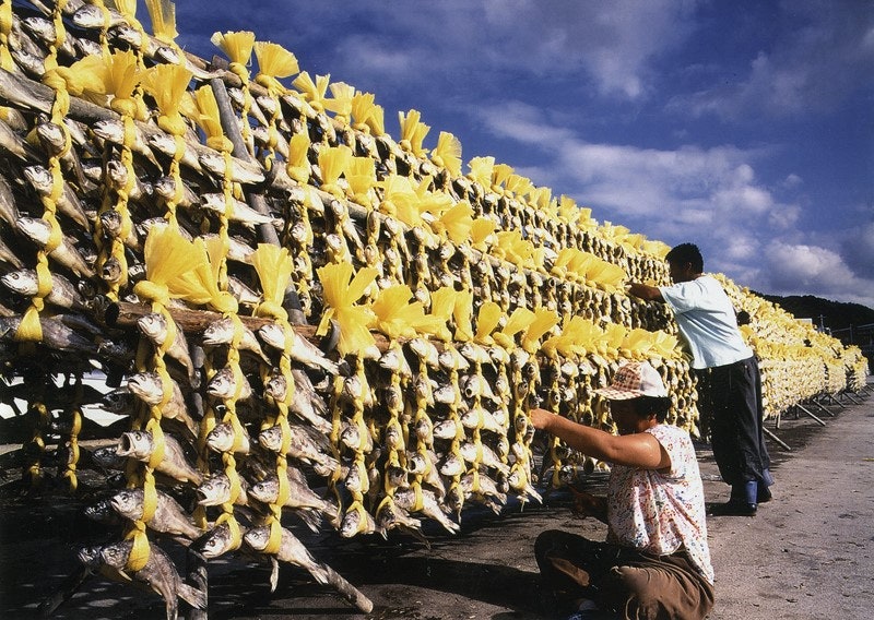 [고려중기 17대인종] 척준경의 배신과 이자겸의 죽음(1126년 12월) : 네이버 블로그