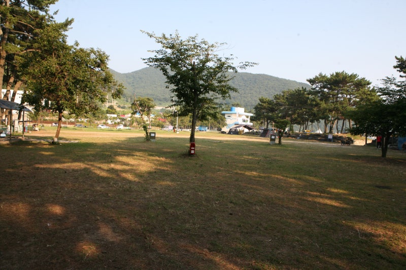 남해 송정해수욕장 솔바람해변에서 캠핑 네이버 블로그