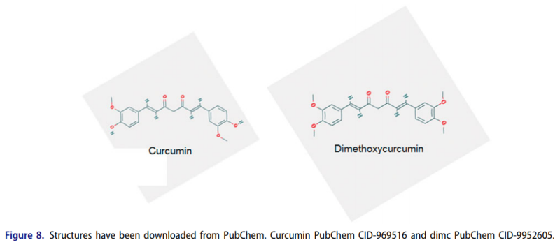 [본초] 인간 말초혈액 단핵세포에서 curcumin과 그 합성 유사체인 dimethoxycurcumin의 작용 비교 : 네이버 블로그