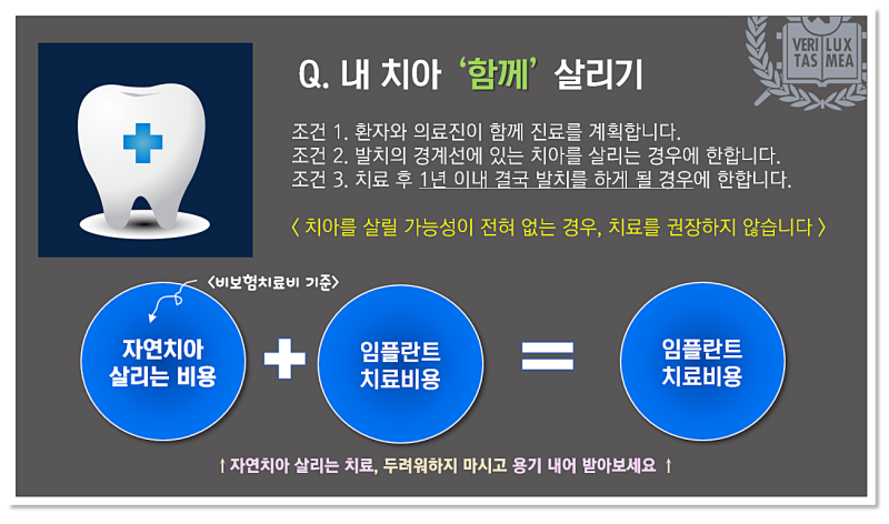 안내 서울윈치과 재신경치료 치료 사례 신경관 석회화 치수재감염 치아 끝 고름주머니 네이버 블로그