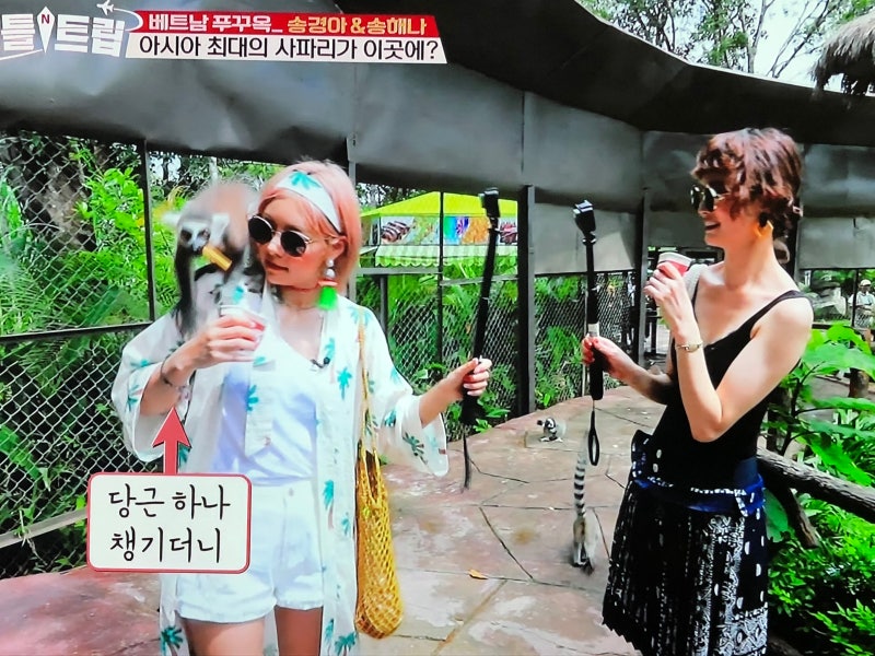 베트남 푸꾸옥 빈펄 사파리 기린식당 후기 네이버 블로그