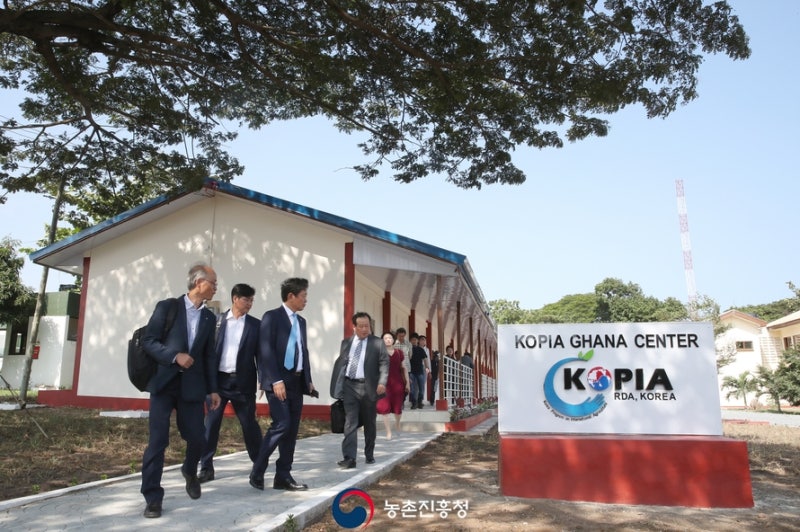 아프리카 가나에 '농업의 기적'을 만들어갈 : 네이버 블로그