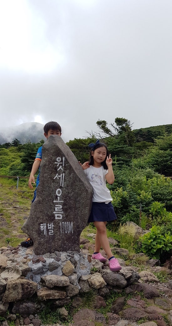 제주도 한라산 등반 아이가 갈만한 쉬운 코스 영실 어리목 네이버 블로그
