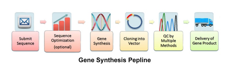 Gene Synthesis : 네이버 블로그