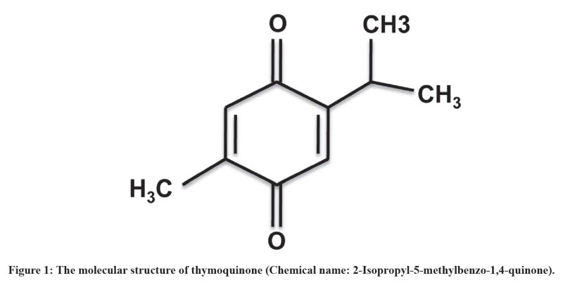 블랙 씨드 오일의 항암 분자로서의 티모퀴논(thymoquinone): 기초 연구에서 임상 연구에 이르는 암과 싸우기 위한 새로운 ...