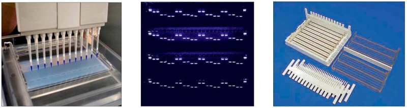 [엔바이오랩]-Mupid-2plus, Mupid-One, Mupid-exU, 머피드 전기영동 시리즈 / 수평형 전기영동장치 ...
