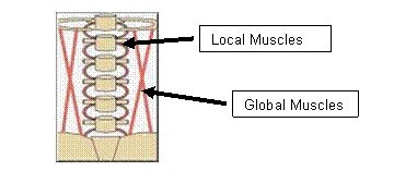 core muscle- global & local muscle, 필라테스의 기본 : 네이버 블로그