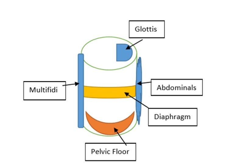 core muscle- global & local muscle, 필라테스의 기본 : 네이버 블로그