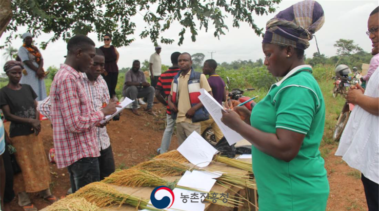 아프리카 농업의 든든한 동반자 :: 농촌진흥청 코피아(KOPIA) & 카파시(KAFACI) : 네이버 블로그