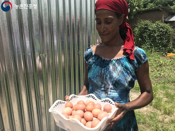 아프리카 농업의 든든한 동반자 :: 농촌진흥청 코피아(KOPIA) & 카파시(KAFACI) : 네이버 블로그