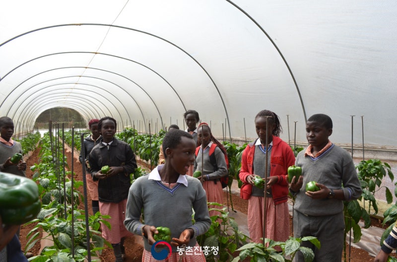 아프리카 농업의 든든한 동반자 :: 농촌진흥청 코피아(KOPIA) & 카파시(KAFACI) : 네이버 블로그