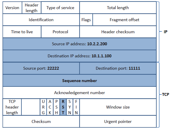TCP Flag Flooding : 네이버 블로그