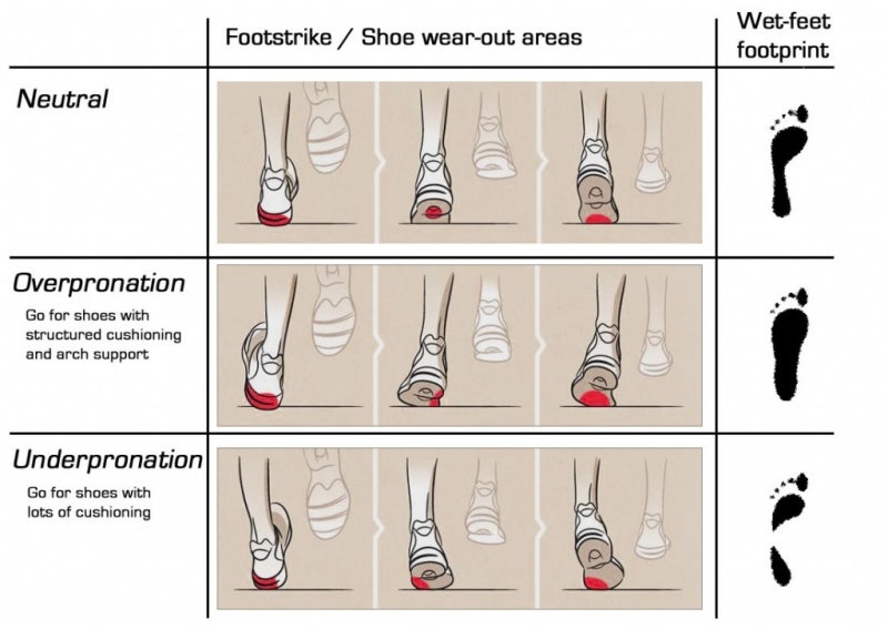 인플루언서 검색: 날으는키위의 홈