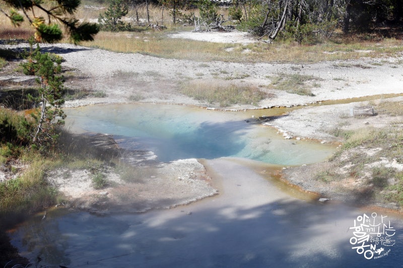 [옐로우스톤-West Thumb] 웨스트썸! Yellowstone국립공원에서 옐로우스톤호수와 함께 조망하는 특별한 곳 : 네이버 블로그