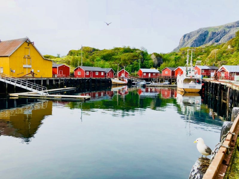 노르웨이 여행 - 로포텐 누스 피오르 로르부 Nusfjord Rorbuer : 네이버 블로그