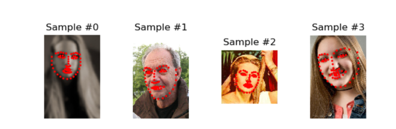 파이토치 튜토리얼(12)/ Data Loading and Processing Tutorial(1) / Getting ...
