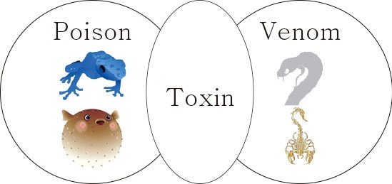 '먹는독(POISON)', '물리는독(VENOM)', '전체적독(TOXIN)' : 네이버 블로그