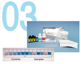 [NEOGEN]-식품 알러지 분석 KIT / 진단 스트립 Reveal 3-D / 정성 ELISA Kit-Alert / 정량 ...