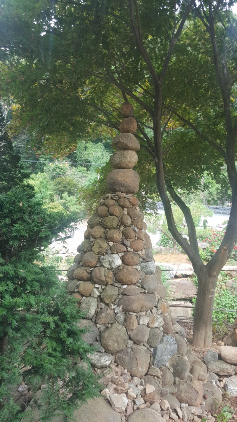 흑염소맛집 수.농.가.에서 알려주는 염소고기효능 과 염소즙효능 : 네이버 블로그