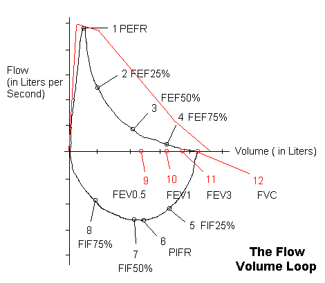 PFT(Pulmonary Function Test) 폐기능검사 : 네이버 블로그