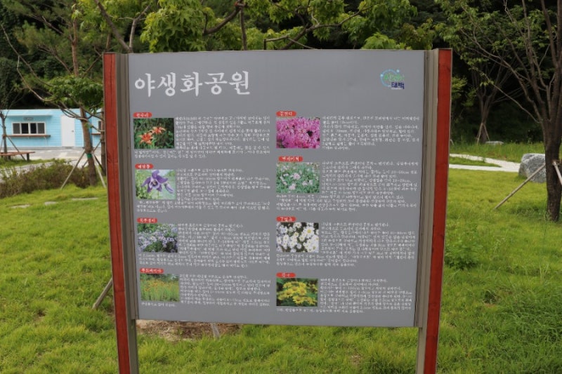 강원도가볼만한곳태백시구문소 자연의신비로움이 있는곳 태백고생대자연사박물관도 있어요 네이버 블로그