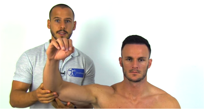 Hornblower's test & Drop sign (소원근, 극하근) : 네이버 블로그