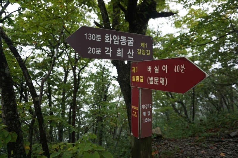 정선 각희산, 화암동굴을 품고 있는 정선 오지산행. : 네이버 블로그