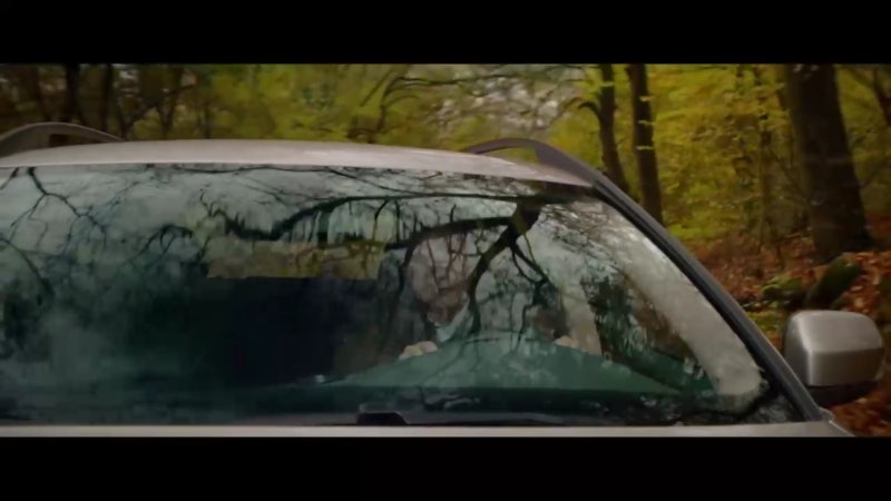 차가운 장미 (Before The Winter Chill, 2013) OST: Leila Bekhti - Comme un p'tit coquelicot : 네이버 블로그