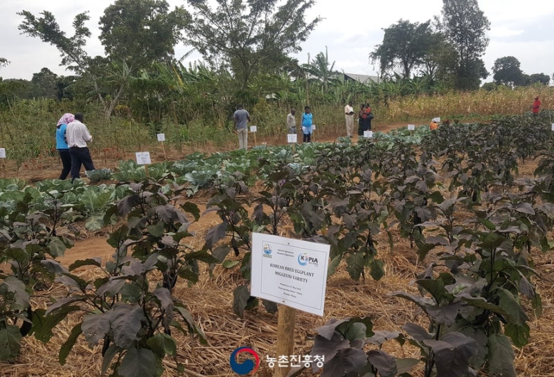 아프리카의 진주, 우간다에 간다! :: KOPIA 우간다 센터 : 네이버 블로그