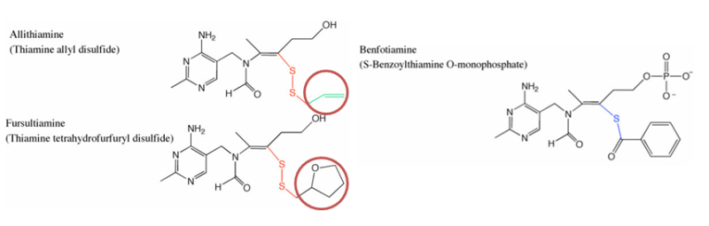 Thiamine 유도체 (활성형 비타민 B1, 활성형 티아민) 종류, Benfotiamine (벤포티아민 ...