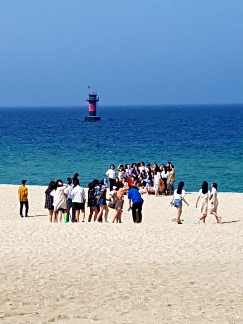 가족모임대학생동아리mt회사워크숍관광버스 여행 단체 여행지숙박지 숙소추천강릉단체방 네이버 블로그