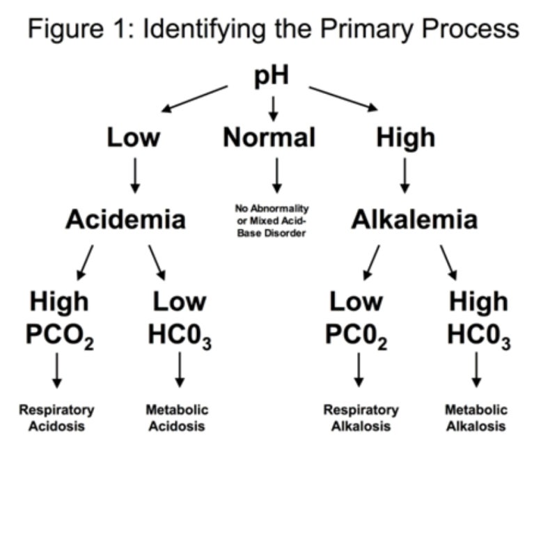 ABGA의 이해, 판독 : 네이버 블로그