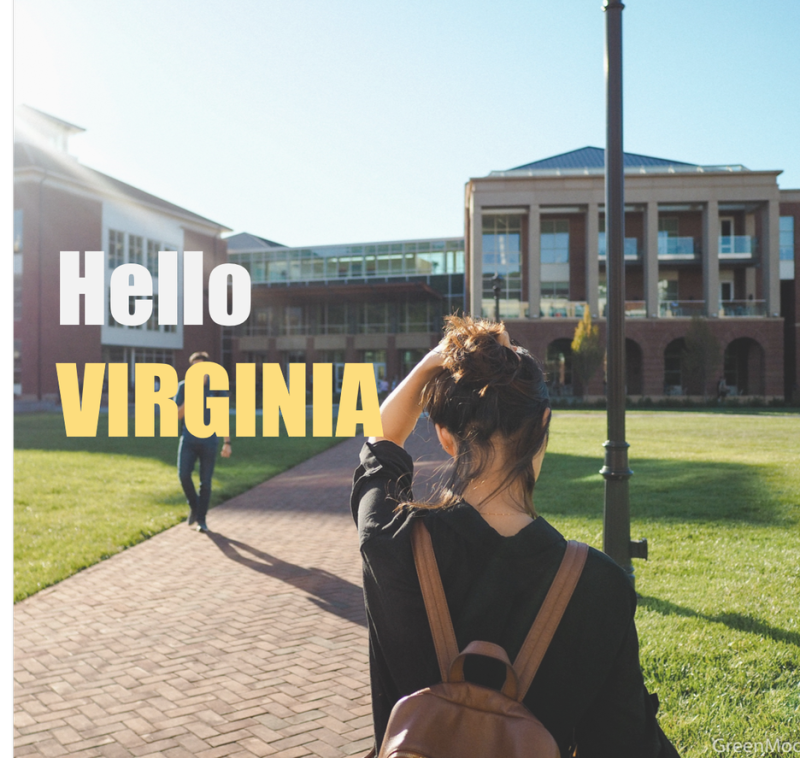 [미국 생활] - Hello VIRGINIA(버지니아 정착기) : 네이버 블로그