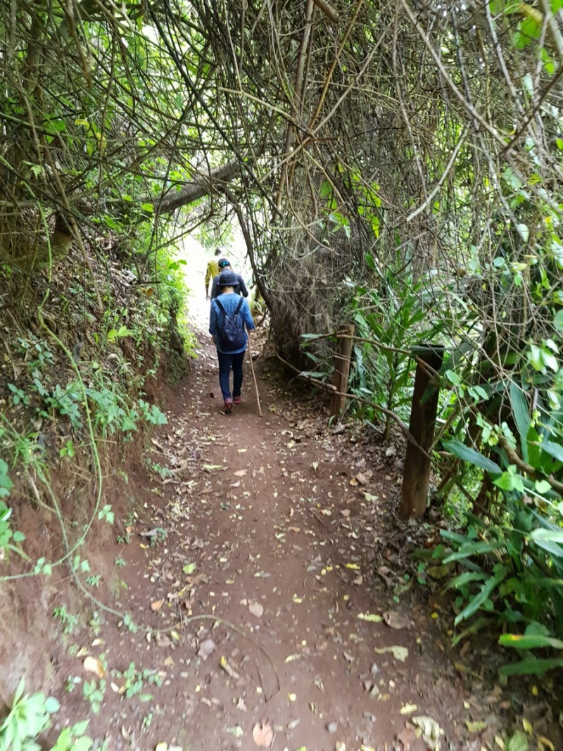 171214 탄자니아 킬리만자로 투어 : 네이버 블로그