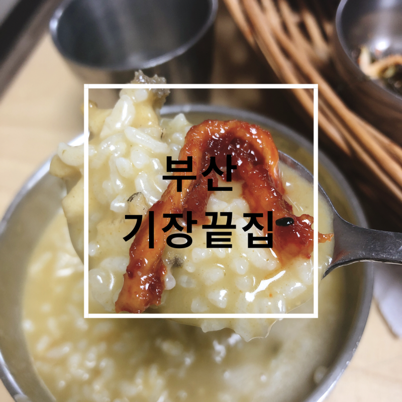 부산 연화리 바다를 보며 먹는 해산물 모듬 그리고 가성비끝판왕 기장 전복죽 네이버 블로그