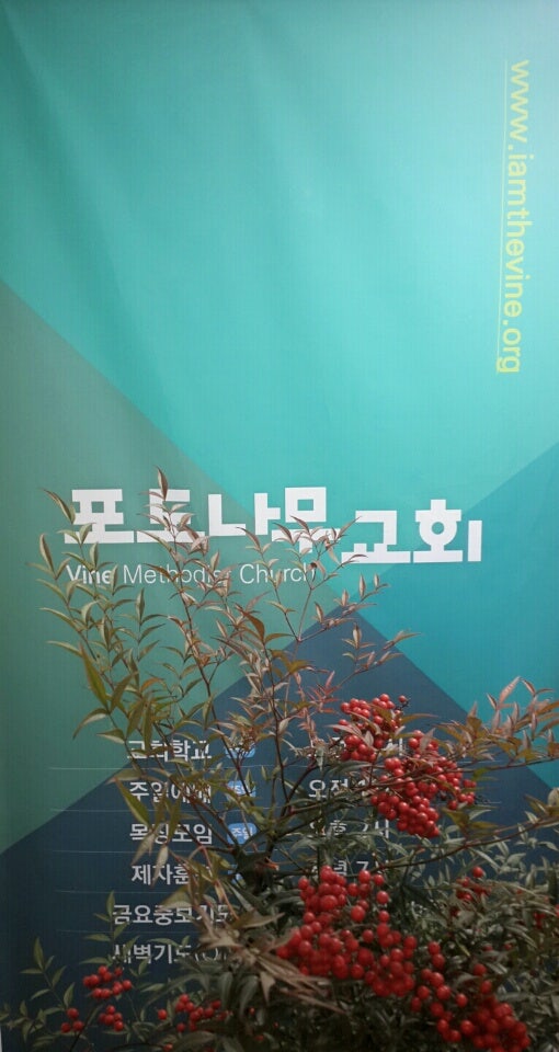 교회 디자인 교회 현수막 디자인 표어 디자인 배경현수막 디자인 예배 안내 현수막 개척교회 프리랜서디자이너