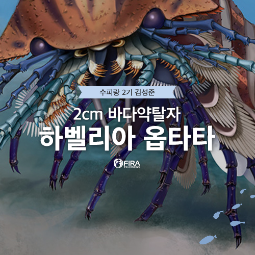 캄브리아기 2cm 바다 약탈자! 하벨리아 옵타타! : 네이버 블로그