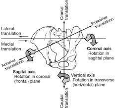만성골반통증 환자와 골반뒤틀림(Pelvic distortion)과의 관계 : 네이버 블로그
