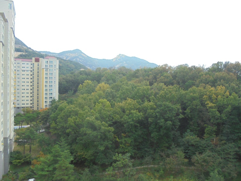서울 은평구 폭포동 힐스테이트 타일공사 공용욕실편 네이버 블로그
