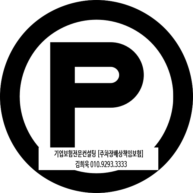 영업배상책임보험 주차장보험 주차장배상책임보험 가입문의 네이버 블로그