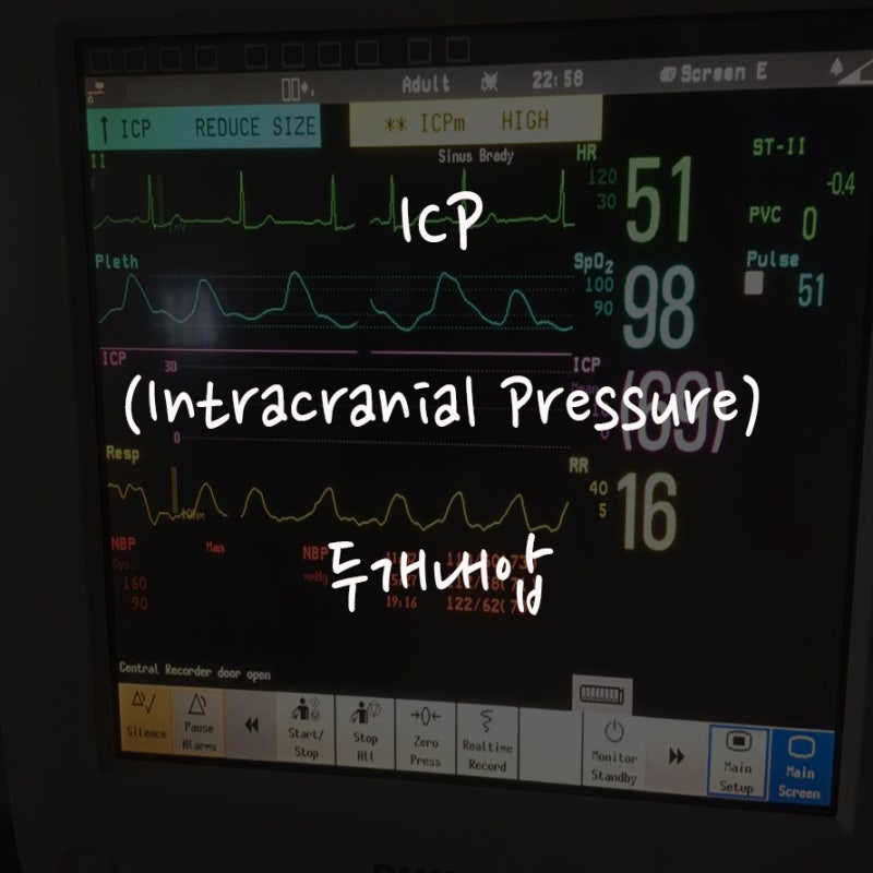 Intracranial Pressure(ICP) Monitoring, 두개내압 감시 및 측정 : 네이버 블로그