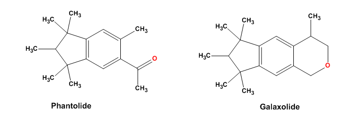 머스크(Musk, 혹은 무스크) 에 대하여... : 네이버 블로그