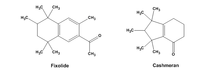 머스크(Musk, 혹은 무스크) 에 대하여... : 네이버 블로그