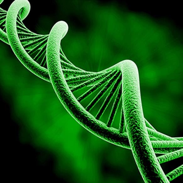 [YMC-BioPro QF] YMC의 비다공성 강음이온교환컬럼을 이용하여 올리고핵산의 HPLC분석 : 네이버 블로그