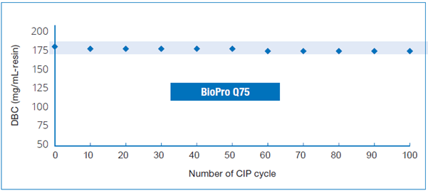 [YMC BioPro IEX resine/YMC BioPro SmartSep series]YMC IEX의 뛰어난 염기성 CIP ...