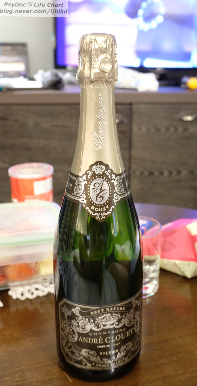[프랑스와인/샴페인] 앙드레 끌루에, 브륏 나뛰르 실버 (Andre Clouet, Brut Nature Silver ...
