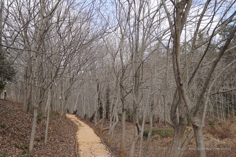 강진 만덕산 산행 408m 등산코스 다산초당 석문공원 구름다리 네이버 블로그