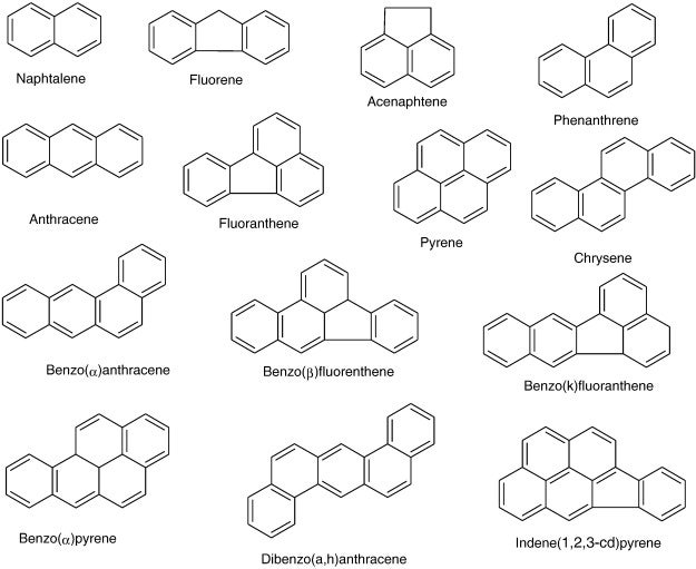 carcinogen, 화학적 발암물질: PAH, cyt.P450, benzo[a]pyrene, phorbol esters ...